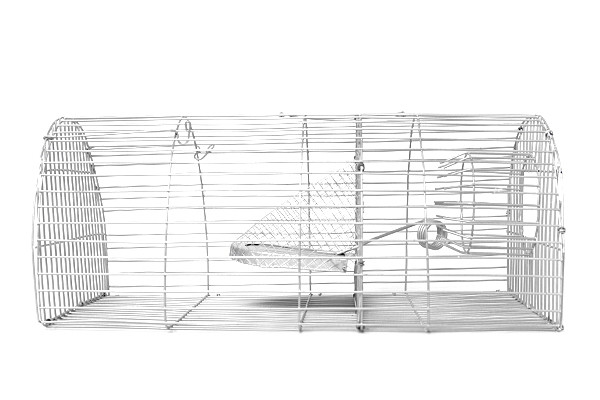 Lot de 2 Nasses à Rats 40 cm – Pièges Multiprises Anti-Rongeurs