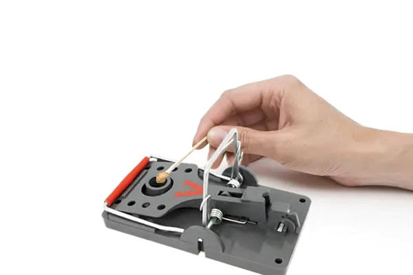 Tapette Anti-Rats Victor en Plastique - Piège Réutilisable Pratique